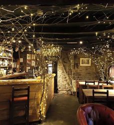 Festive Fun on Dartmoor & Dining at Bearslake Inn