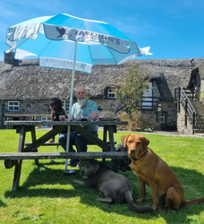 The Ultimate Guide to Dog Friendly Pubs