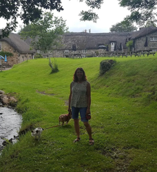 The Ultimate Guide to Dog Friendly Pubs