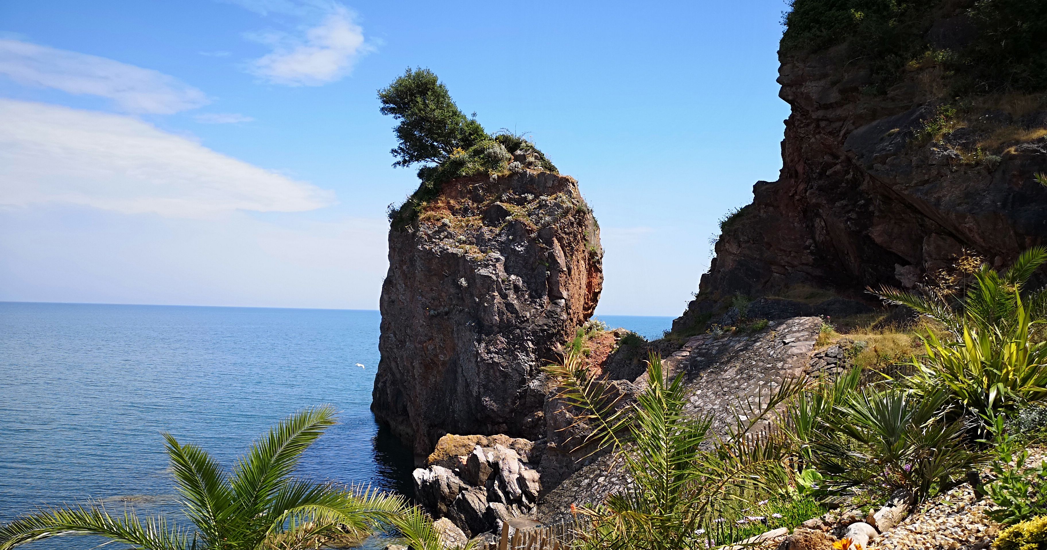 Keep up to date with our Blog | Cary Arms & Spa