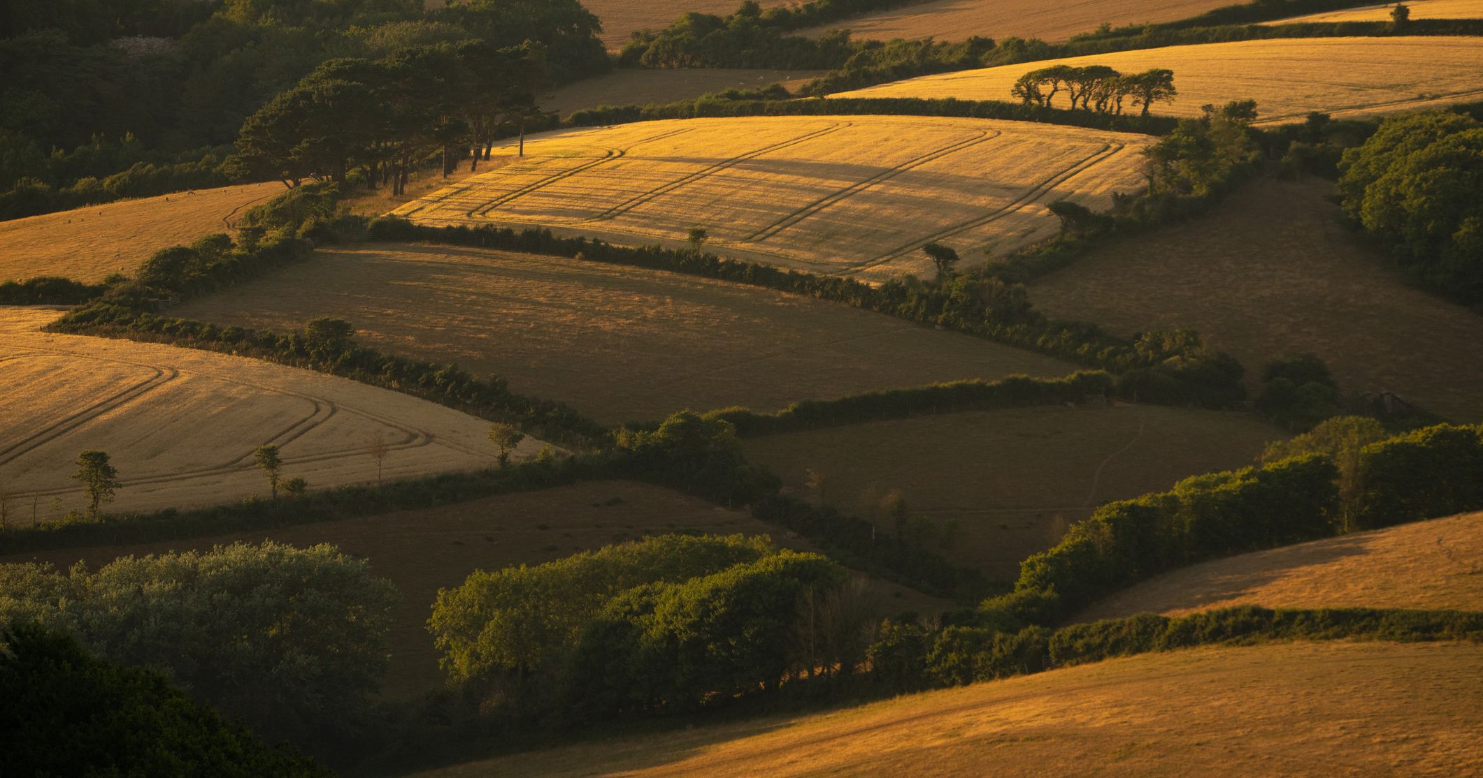 The Best Things to Do in South Devon | Flear Farm Cottages