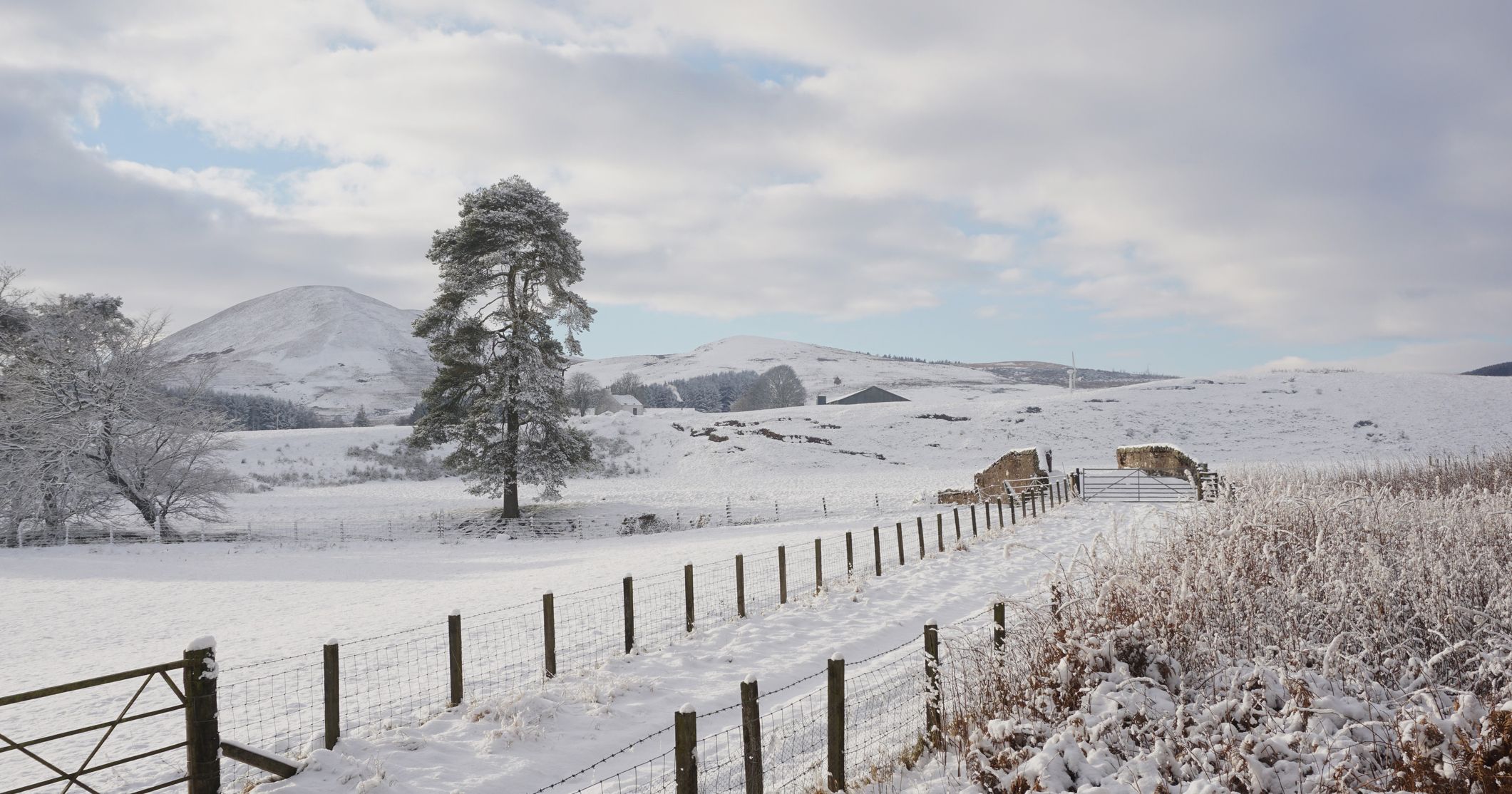 Scotland in winter | Forbes of Kingennie