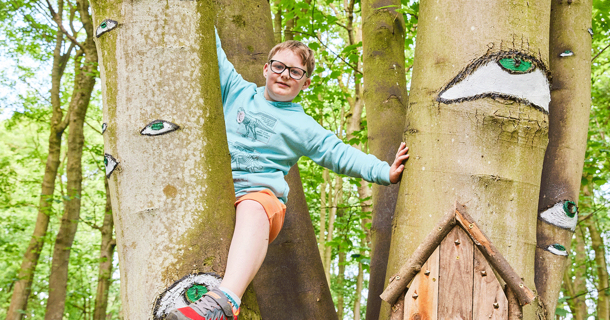 The Secret Forest | Children's Adventure Trail