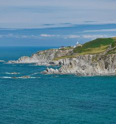 12 Amazing Dog Friendly Activities In North Devon