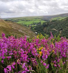 Walking vs Cycling the Tarka Trail: Which is the Best Way to Explore North Devon?