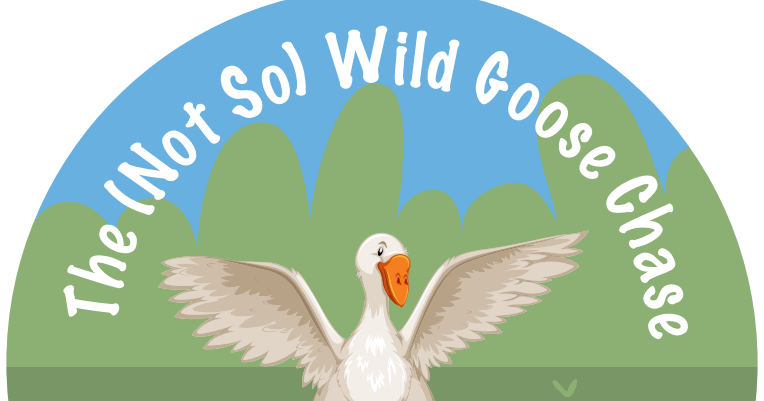 The (Not So) Wild Goose Chase | Two Bridges Hotel Dartmoor